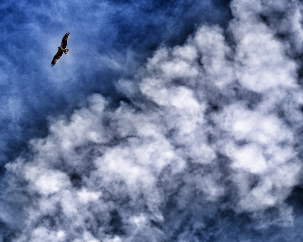 Why Still Teaching, Still Writing – A Thin Silence